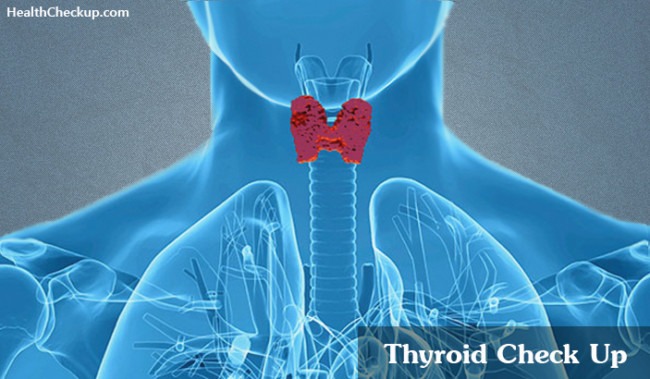 Thyroid Function Tests Purpose, Procedure - Health Checkup Thyroid Function Tests Purpose, Procedure - Health Checkup