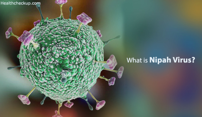 What is Nipah Virus : Symptoms, Prevention, Transmission, Treatment What is Nipah Virus : Symptoms, Prevention, Transmission, Treatment